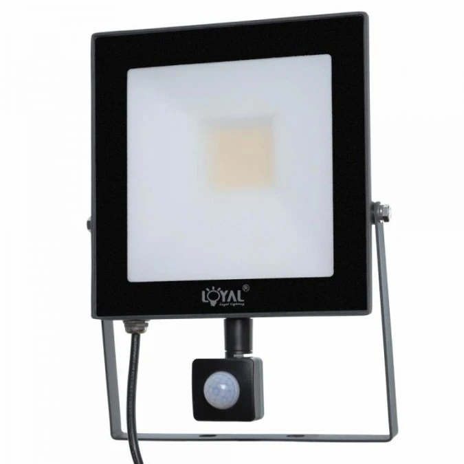 LAMPA Zewnętrzna Projektor LED Loyal Lighting 4250lm LUMILEDS IP65 4K ...