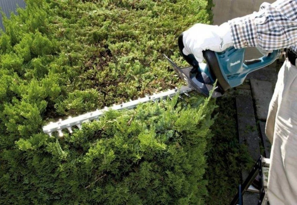 NOŻYCE ELEKTRYCZNE DO ŻYWOPŁOTU 400W 48CM – Makita | TIM SA