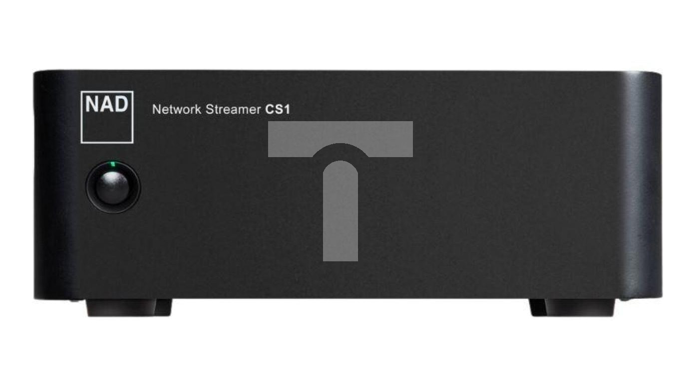 Interfejs wejściowy CS1 – Bluesound Professional | TIM SA