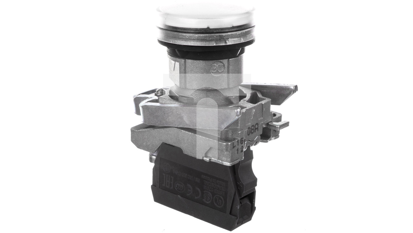 Lampka sygnalizacyjna 22mm biała 110-120V AC XB4BVG1 – Schneider | TIM SA