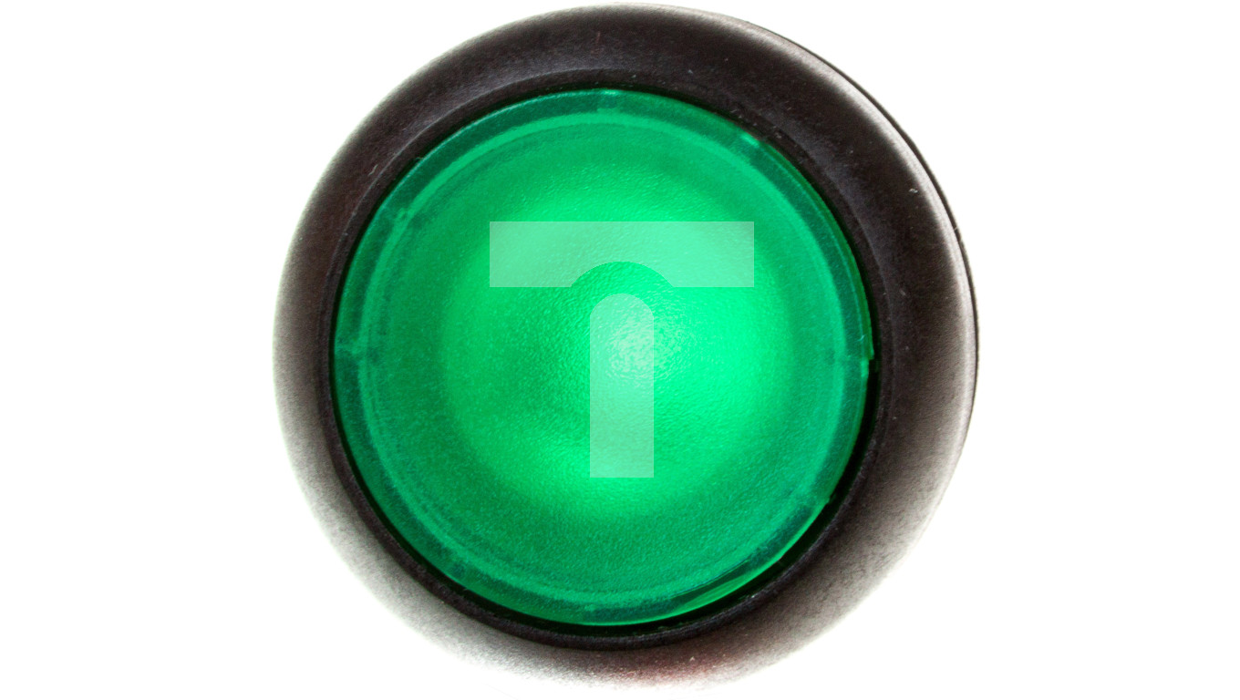Napęd przycisku zielony z podświetleniem bez samopowrotu M22S-DRL-G 216949 – EATON | TIM SA