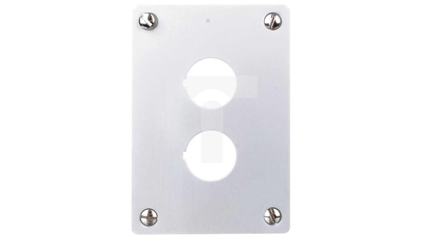 Płyta czołowa do montażu podtynkowego 2-otwory 22mm M22-E2 216543 – EATON | TIM SA