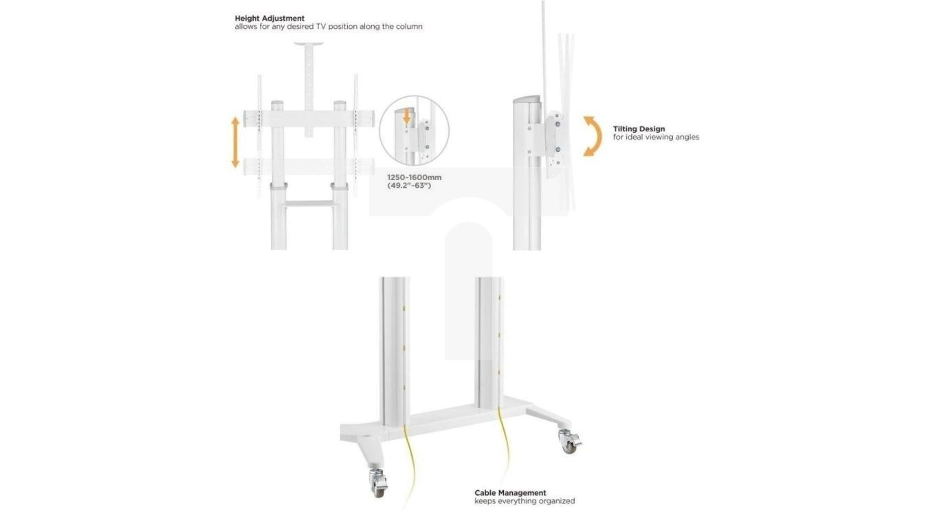 Stojak do Tablicy Interaktywnej 70-120 Cali 140kg Biały – Techly | TIM SA