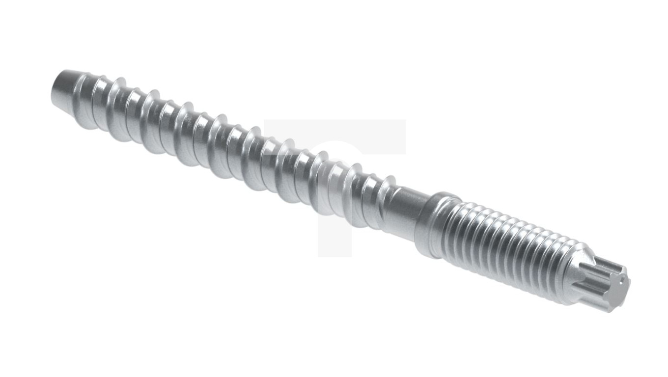 W-LX-M Śruba do betonu z gwintem zewnętrznym M8x55mm TORX T30 62434305 /100szt./ – WALRAVEN | TIM SA